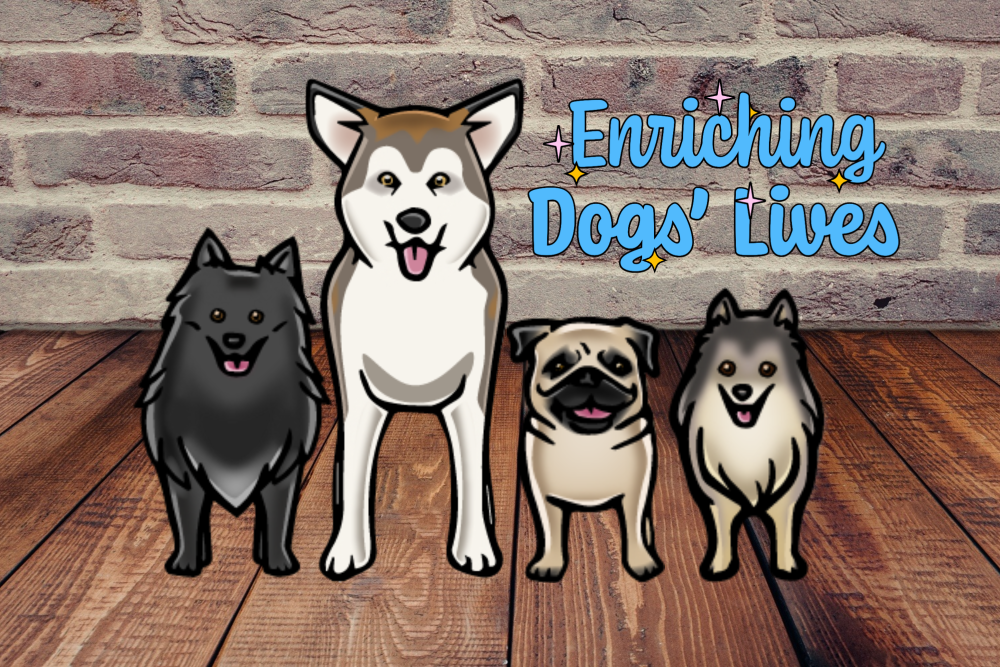 Woof Pack Online - Shop Enrichment DogToys and Natural Treats For Dogs