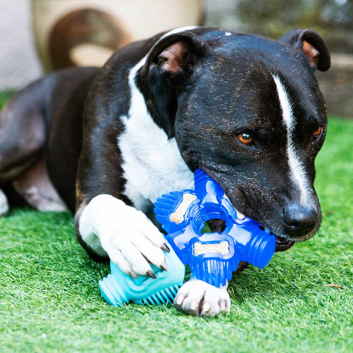 Woof Pack Online - Shop Enrichment DogToys and Natural Treats For Dogs