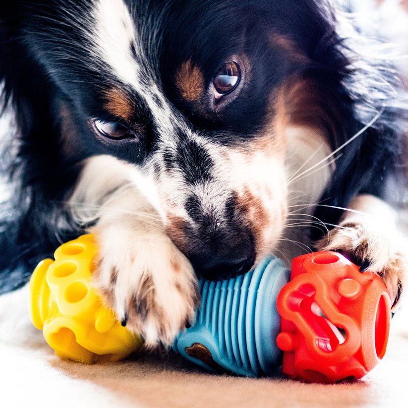 K9 Connectables – Woof Pack Online